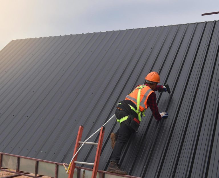 Metal Roof Repair Auckland: Why Autumn Is the Perfect Time for Roof ...